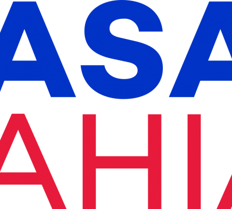 Casas Bahia Logo