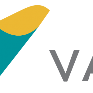Vale Resort Logo