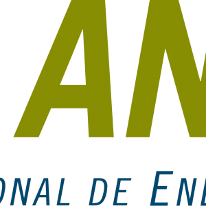 Aneel Logo